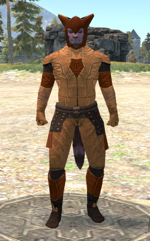 Armor Set Identification - Project: Gorgon Wiki