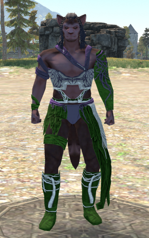 Armor Set Identification - Project: Gorgon Wiki