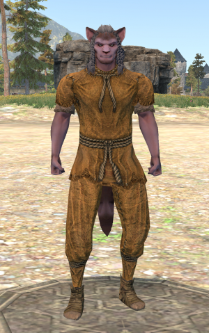 Armor Set Identification - Project: Gorgon Wiki