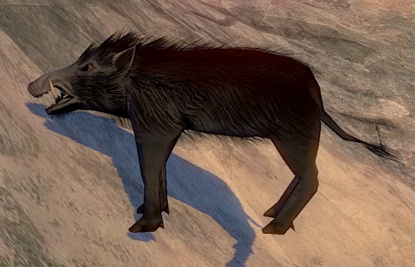 Ferocious Boar - Project: Gorgon Wiki