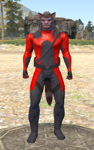 Armor Set Identification - Project: Gorgon Wiki