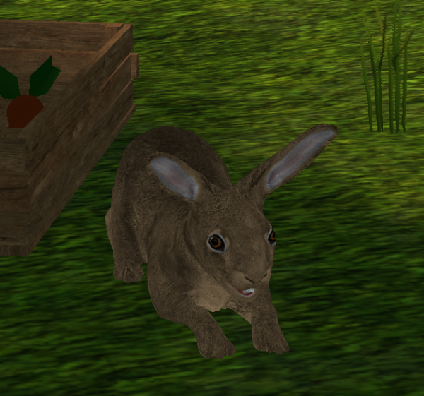 Cinnamon the rabbit - Project: Gorgon Wiki