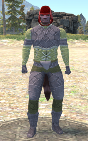 Armor Set Identification - Project: Gorgon Wiki